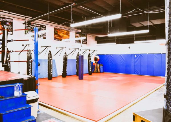Home - Apex MMA